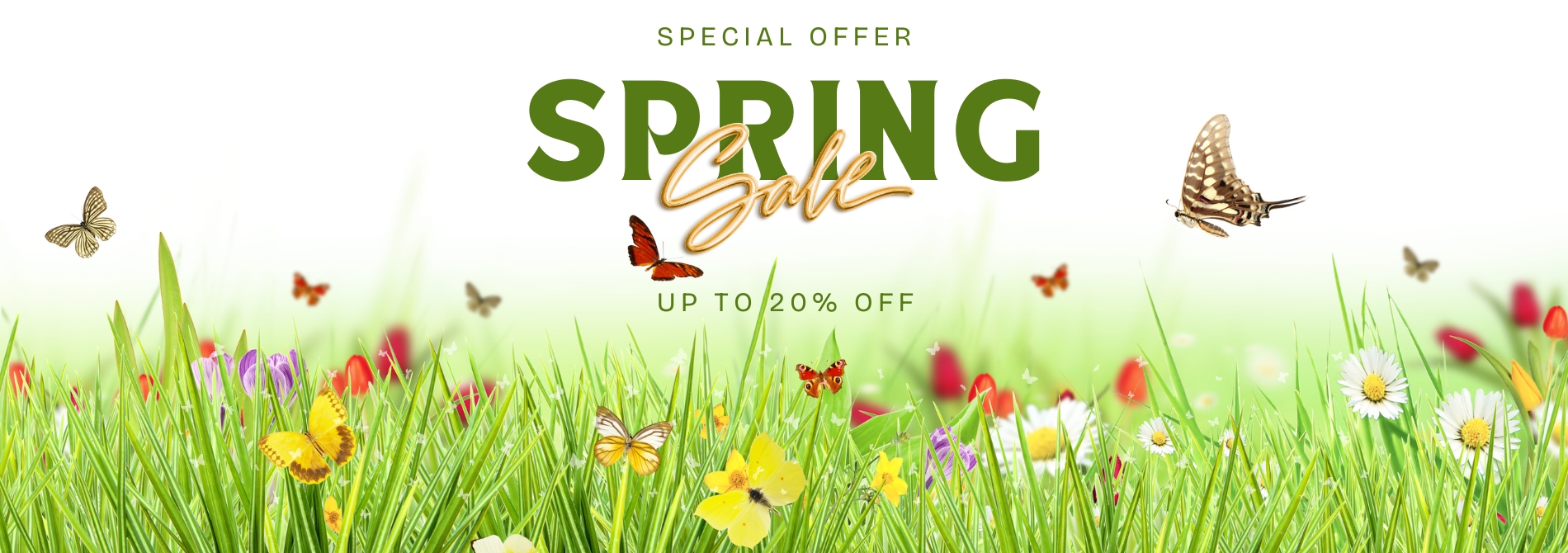 Beleuchtungsgeschäft | Modernes Beleuchtungsunternehmen | SLY Lamps